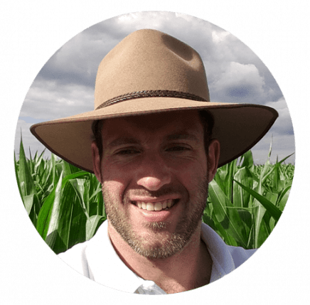 Top Dressing Fertilizer For Maize: Why Timing Is Key - Cropnuts