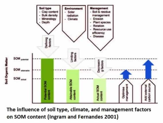 How Organic Matter Creates Sustainable, Carbon-Friendly Agriculture ...