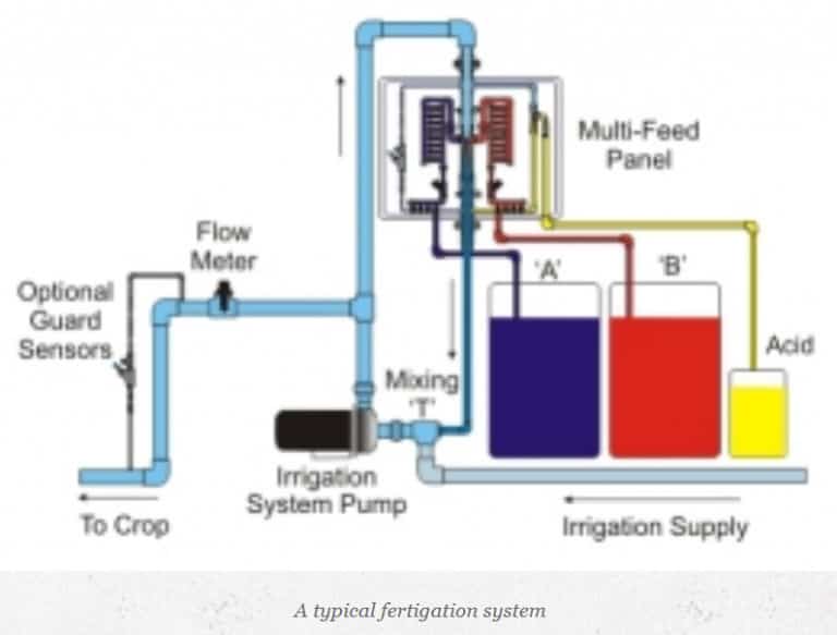 Designing A Suitable Fertigation System - Cropnuts