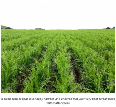 Soil Preparation For 2023 - Cropnuts