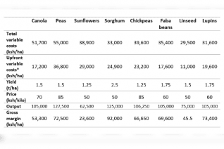 Farms Find Benefits With Off-Season Break Crops - Cropnuts