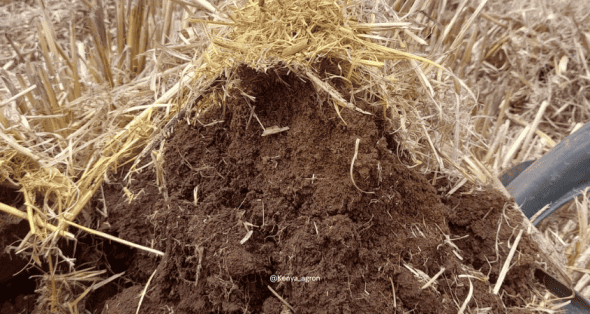 Soil Testing and Nutrient Analysis - Cropnuts