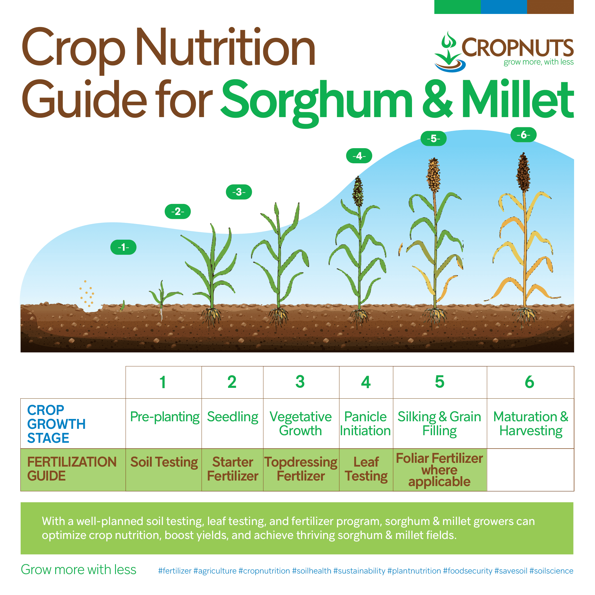 Sorghum & Millet Crop Nutrition Guide - Cropnuts