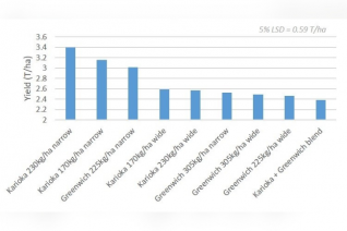 Maize Varieties for 2024 - Cropnuts