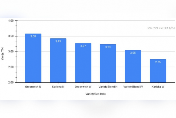 Maize Varieties for 2024 - Cropnuts