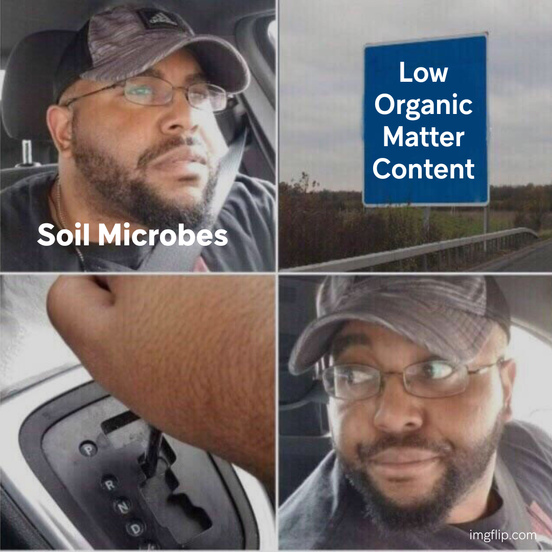 Relationship Between Soil Microbes and Organic Matter - Cropnuts