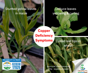 Introduction to the Copper Nutrient - Cropnuts