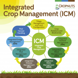 Introduction to Integrated Crop Management (ICM) - Cropnuts