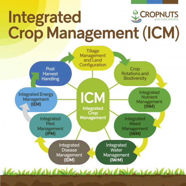 Introduction to Integrated Crop Management (ICM) - Cropnuts