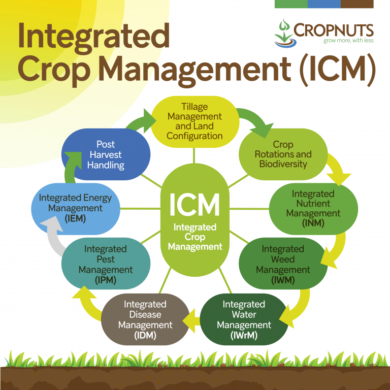 Introduction to Integrated Crop Management (ICM) - Cropnuts