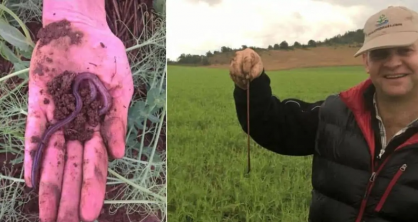 Biological Aspects of Soil Health - Cropnuts
