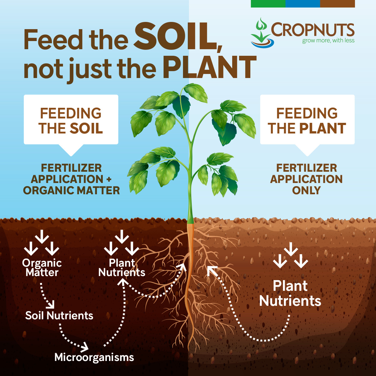 Soil Organic Matter and Crop Response to Fertilizer - Cropnuts