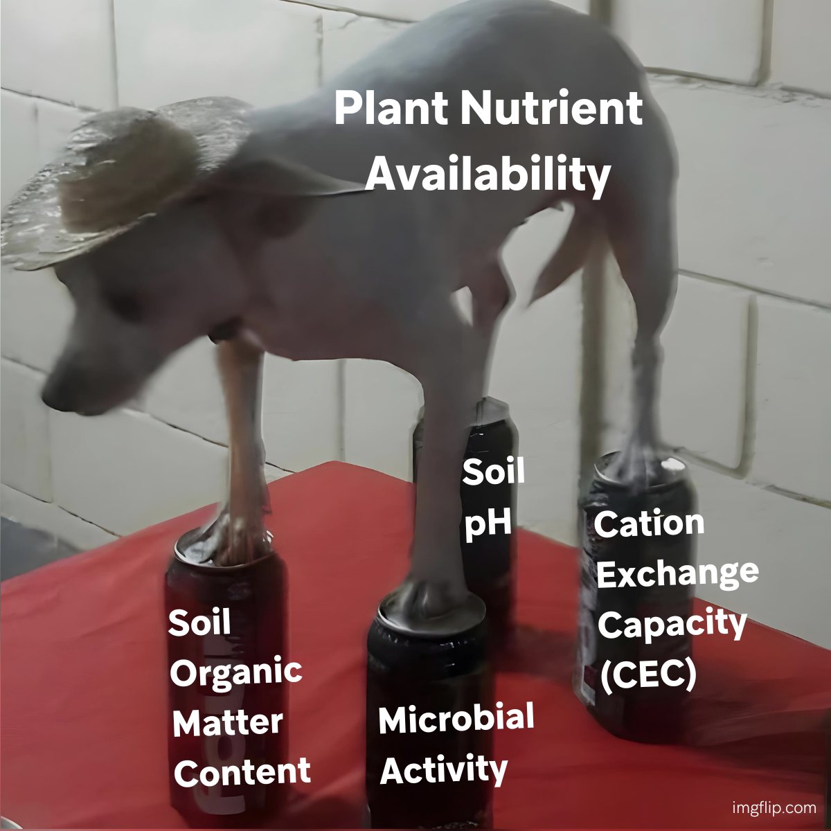 Factors Affecting Nutrient Availability to Plants - Cropnuts