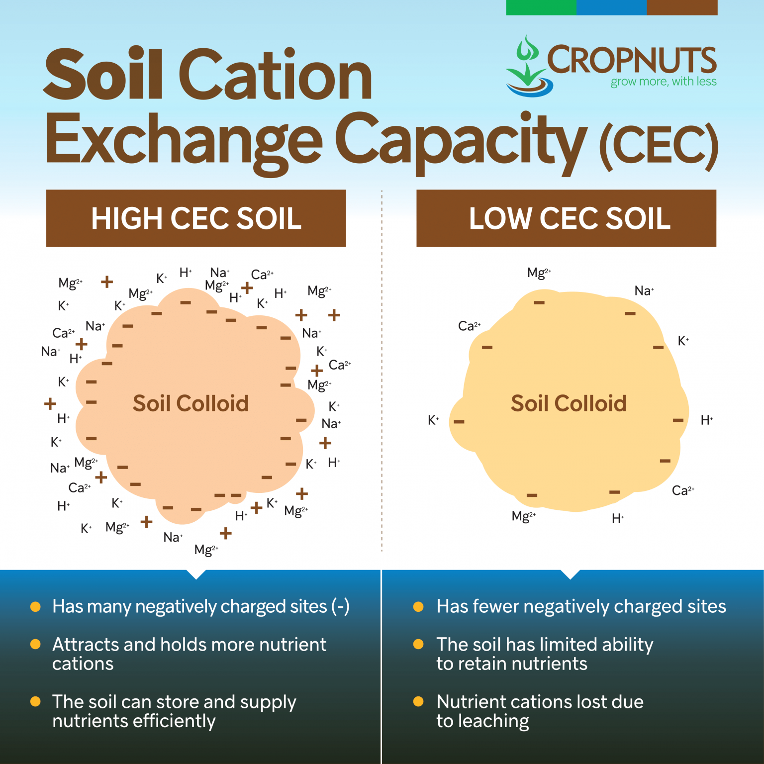 Understanding Soil Cation Exchange Capacity (CEC) - Cropnuts